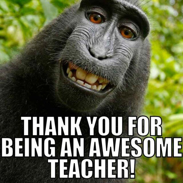 Teacher Appreciation Week Memes 2025 That Deserve Extra Credit