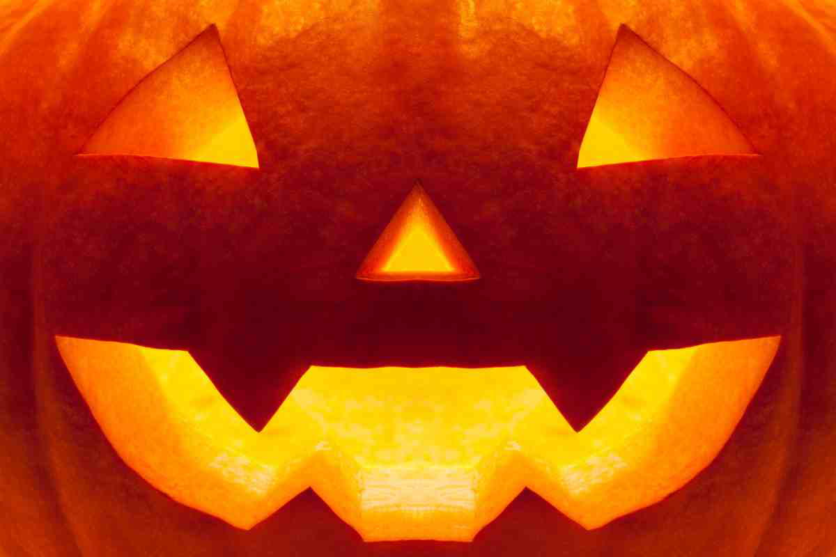 13 Funniest Due Process Memes That Still Respect The Law