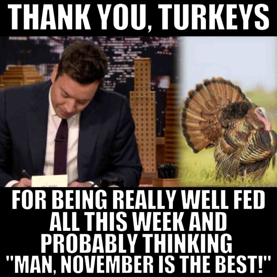 Turkey Memes That’ll Have You Stuffed With Laughter