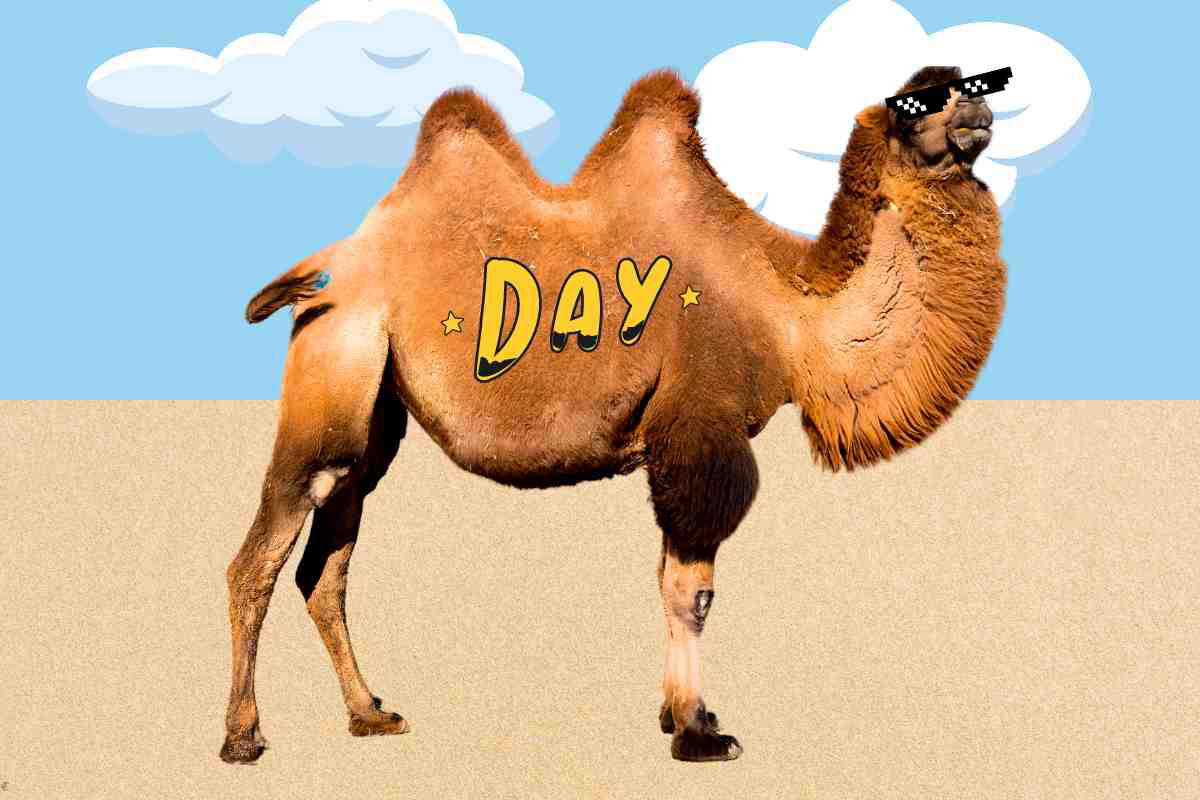 17 Wednesday Work Memes That Nail Hump Day Humor