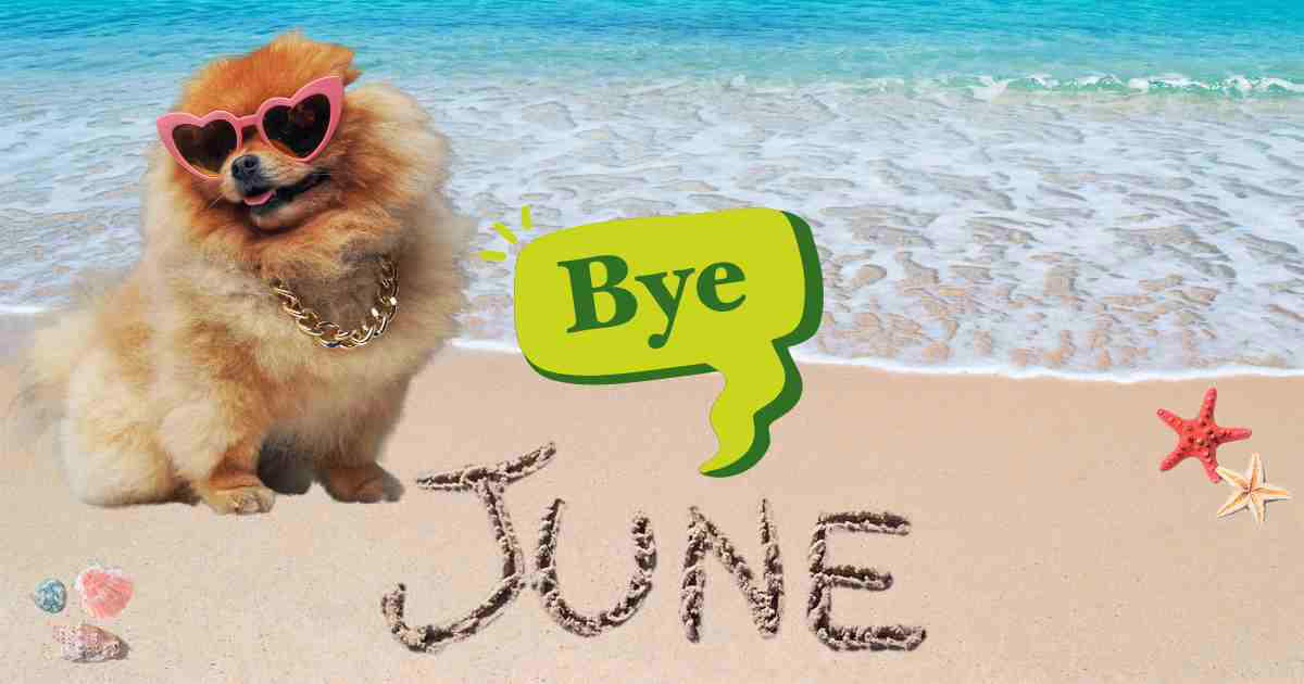 All About The Months - Seasonal Fun, Trends & Memes