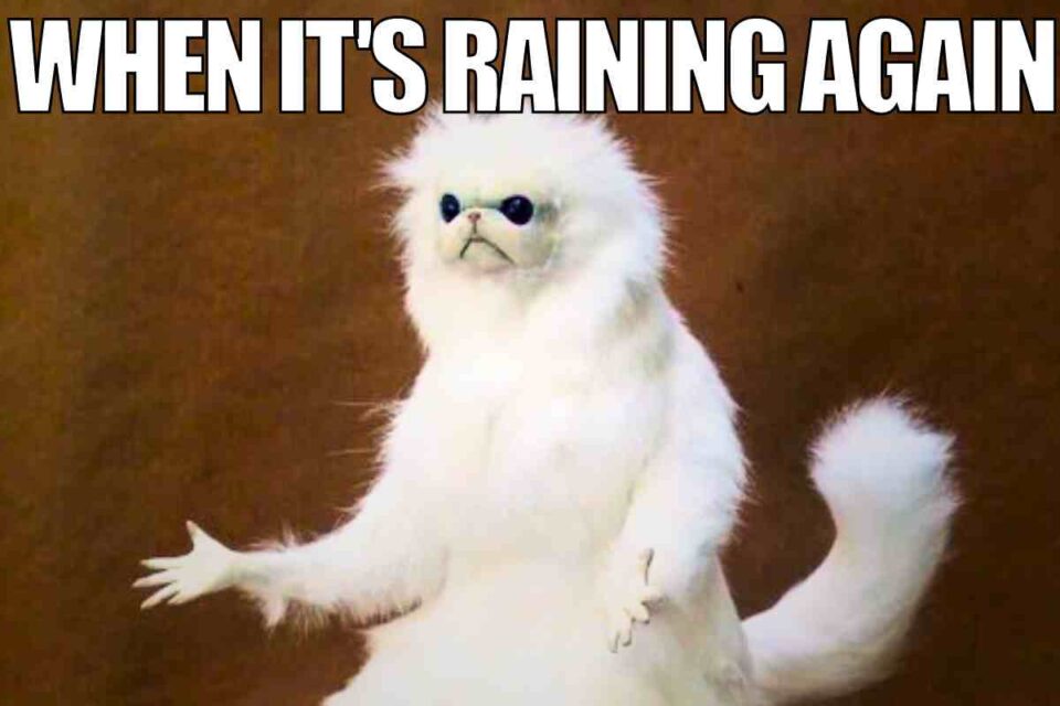 35 Funny Rain Memes To Shower You With Chuckles
