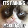 Stop Raining! 15 Hilarious Memes That Beg The Rain To Stop