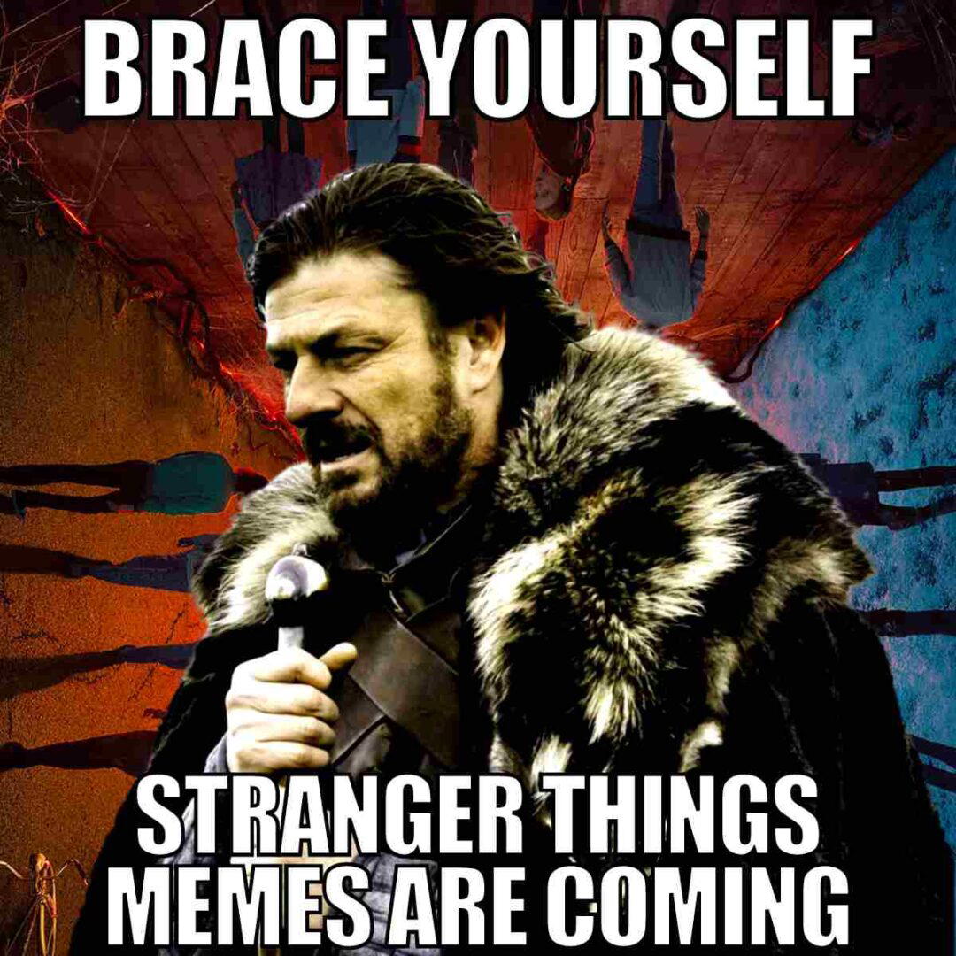 75 Stranger Things Memes That Will Turn Your Day Upside Down