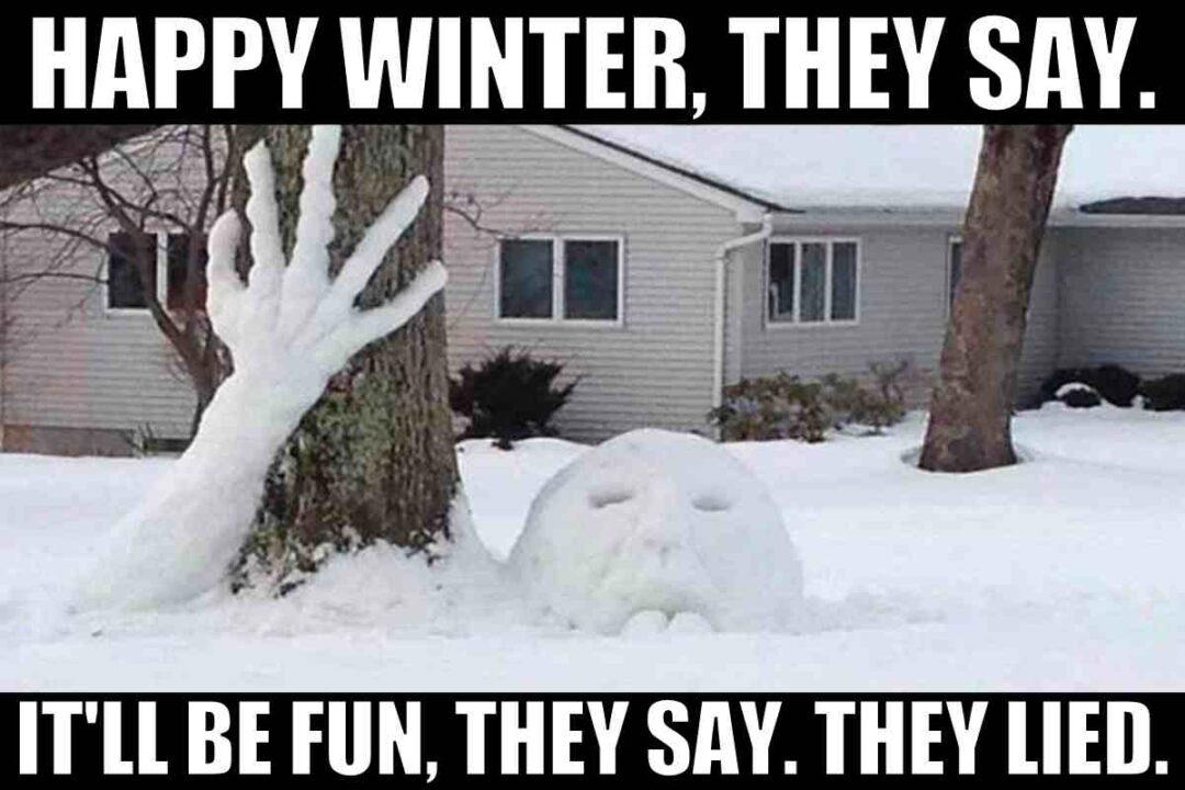 35 Winter Memes To Warm Your Frosty Heart