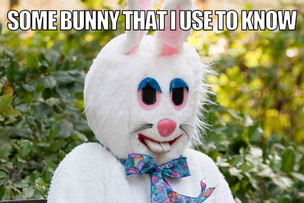 15 Easter Bunny Memes That Will Make Your Holiday Egg-stra Hilarious